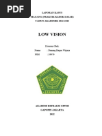 Pengertian Dan Definisi Low Vision (ICD-10, WHO Bangkok) | PDF