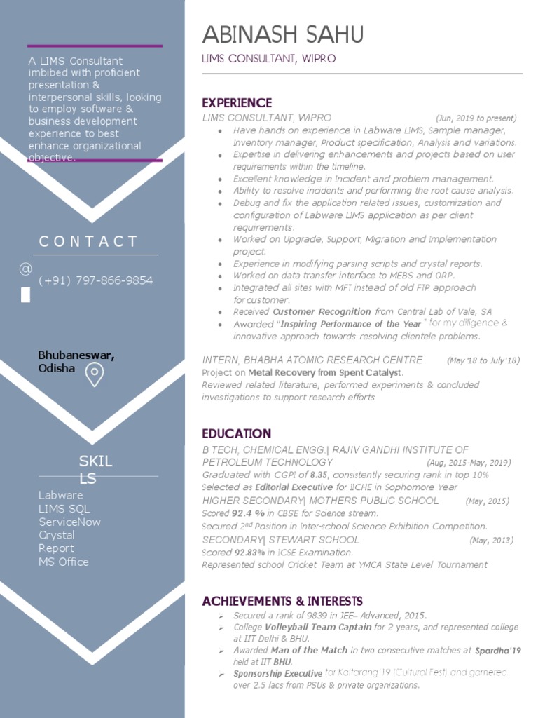 Abinash Updated | PDF | Consultant | Information Technology