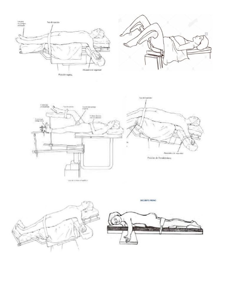 Posiciones Anatomicas | PDF