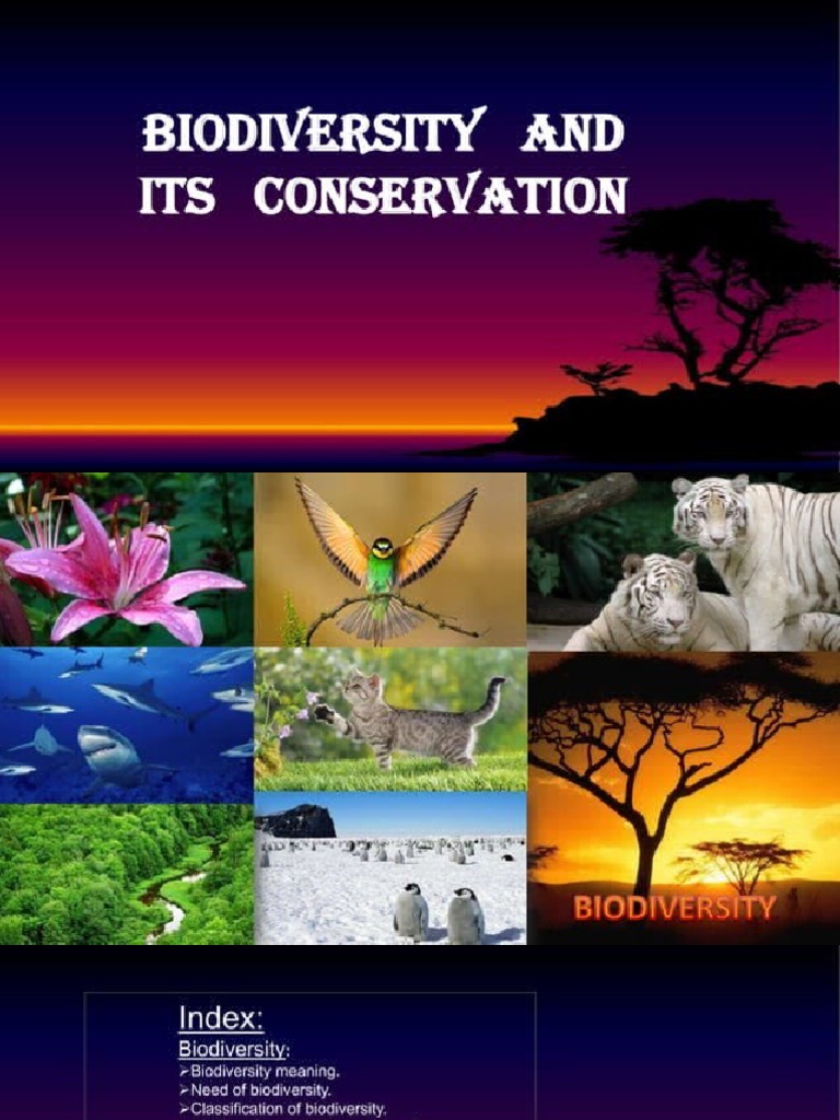 Biodiversity and Its Conservation | PDF