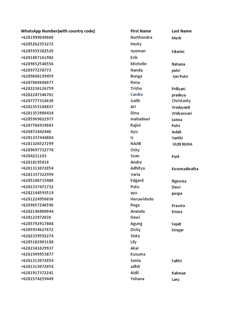WAPlus Sender Template | PDF