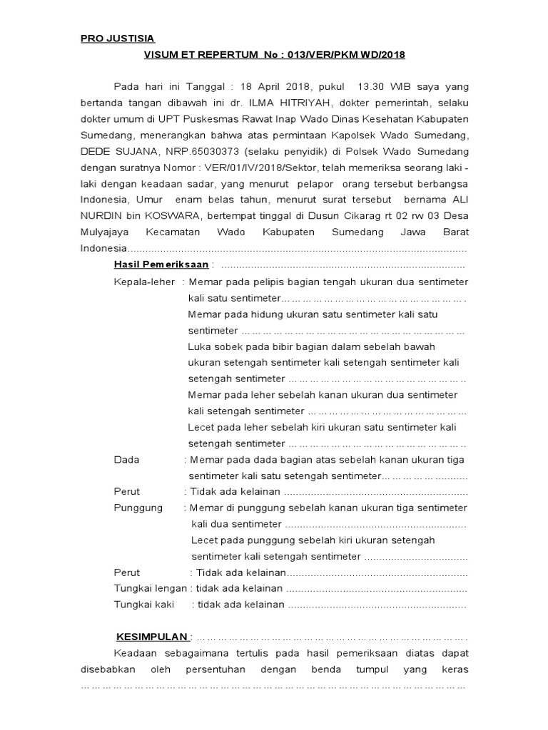 Visum Luka Ali Nurdin Bin Koswara | PDF