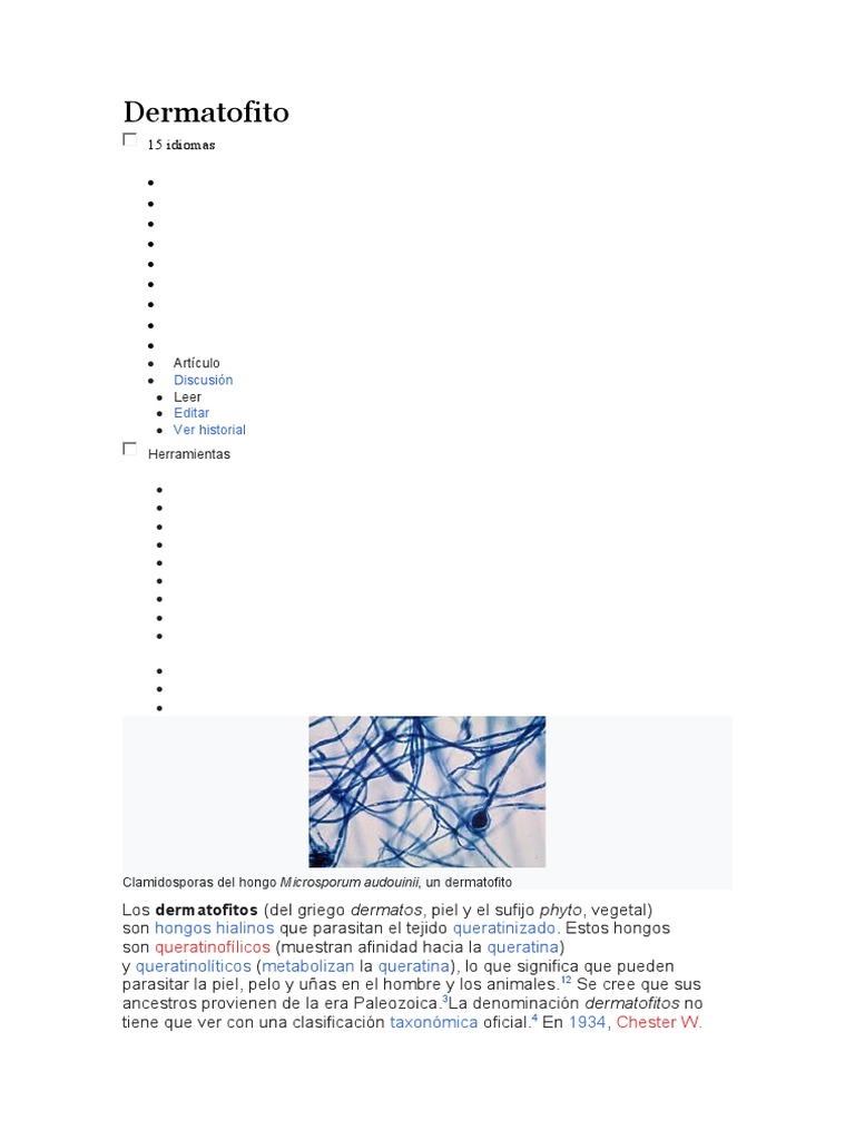 Dermatofito | PDF | Ciencias de la Salud | Medicina