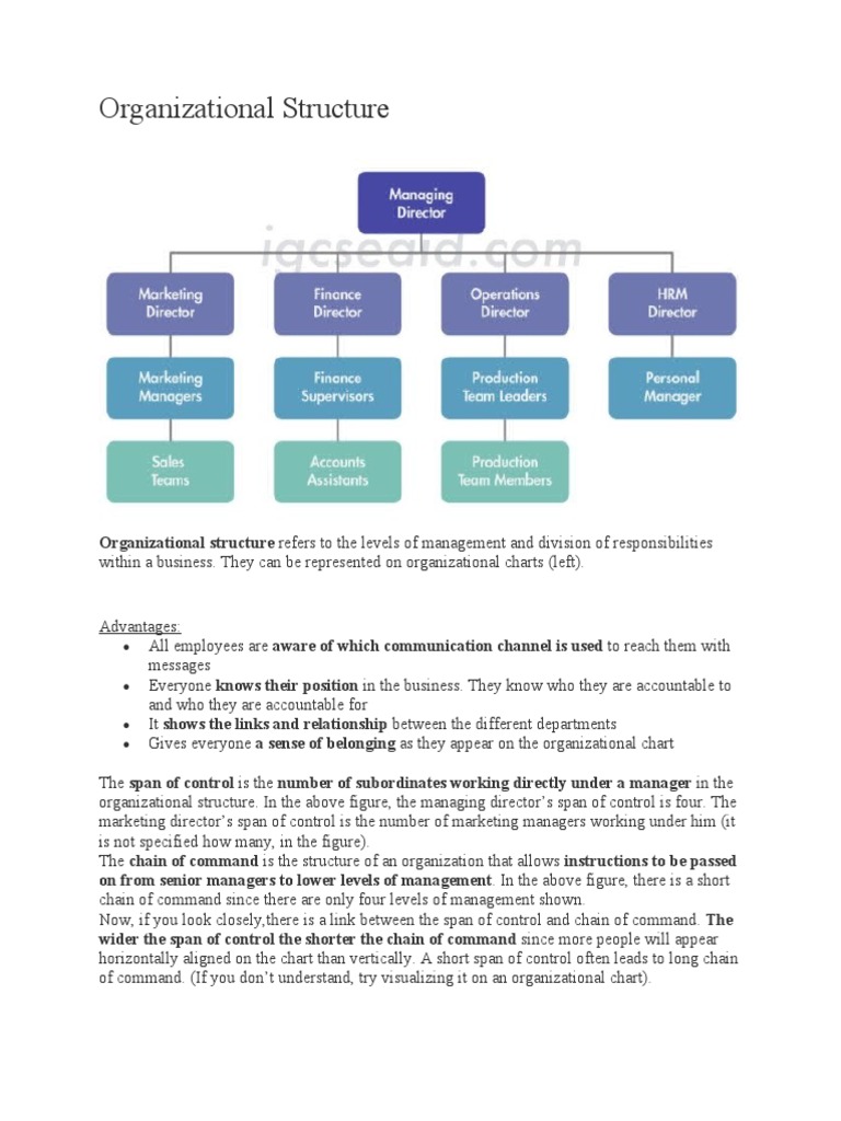 Organizational Structure | PDF | Organizational Structure | Leadership