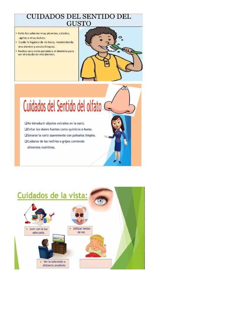 Cuidado de Los Sentidos | PDF
