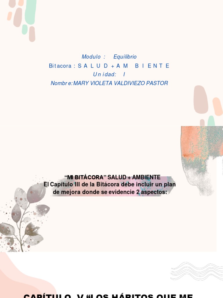 Bitacora Ii Mery) | PDF