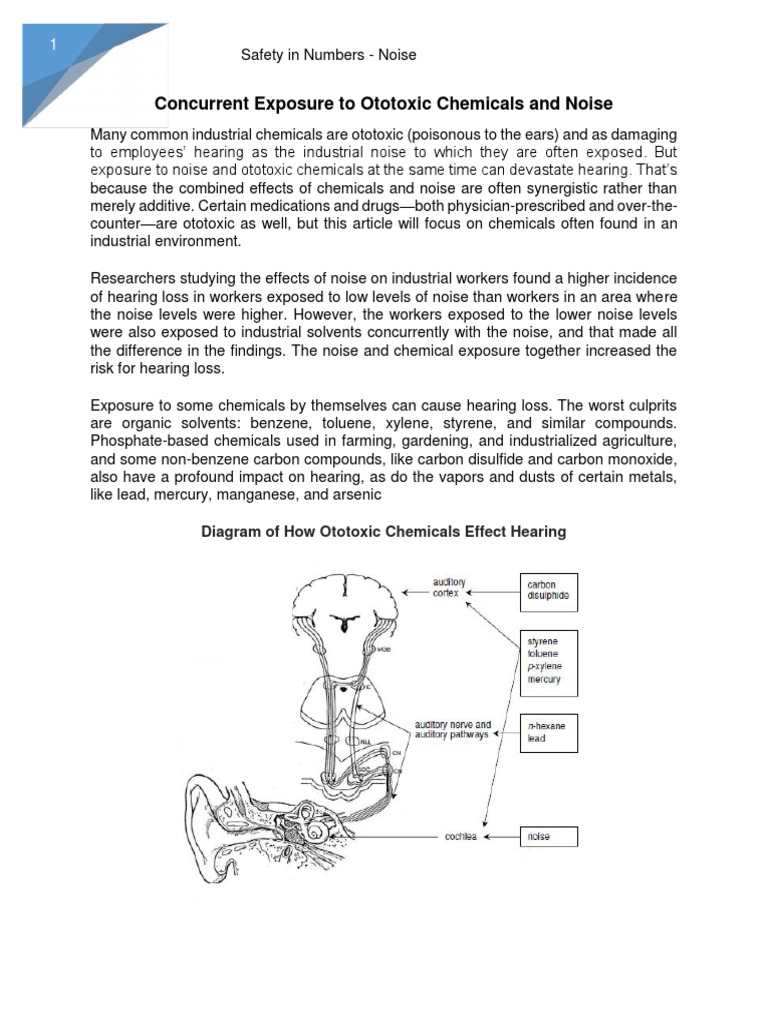 Concurrent Exposure To Ototoxic Chemicals and Noise | PDF | Noise ...