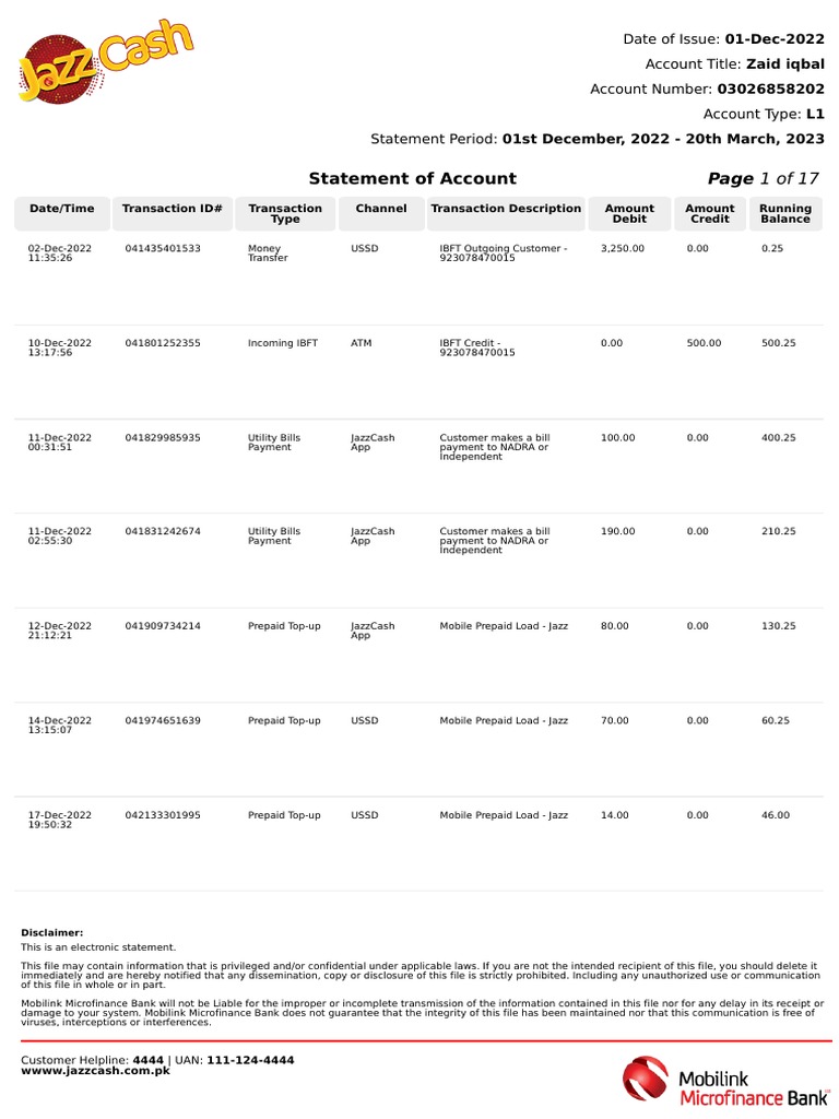 Account Statement | PDF