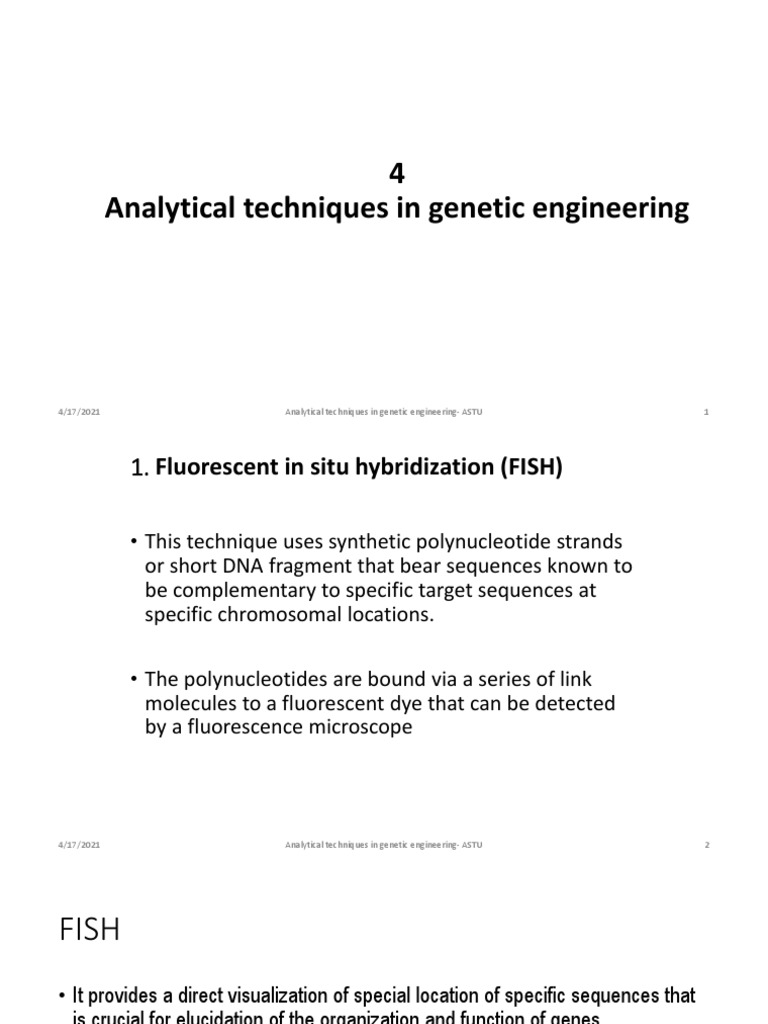 Analytical Techniques In Genetic Engineering Pdf