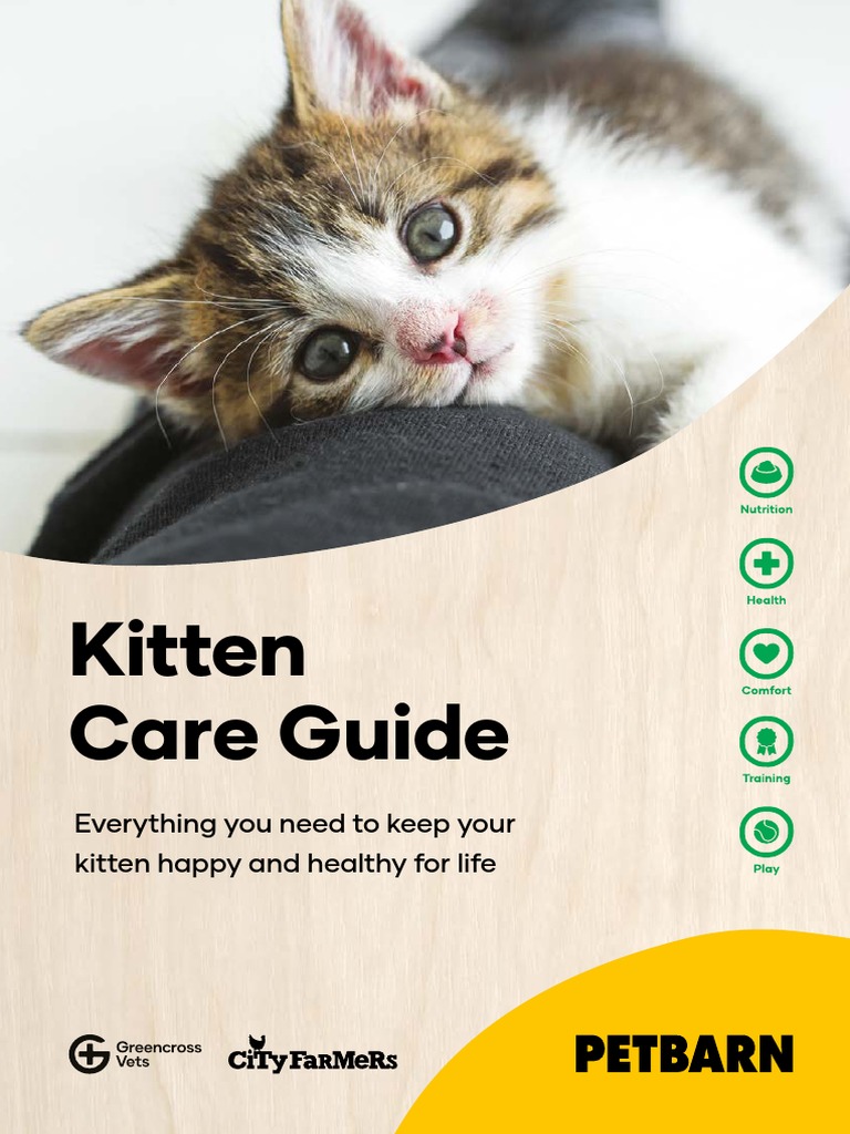 Essential Kitten Care Guide | PDF | Kitten | Cats