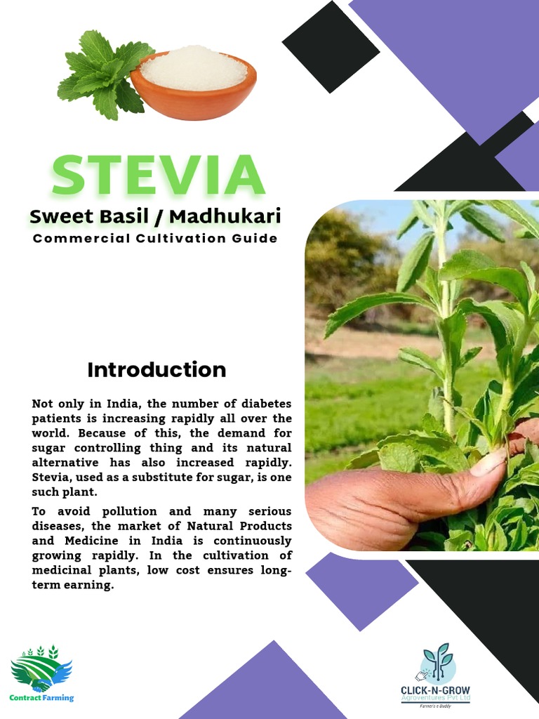 Stevia Cultivation Guide | Download Free PDF | Soil | Agriculture