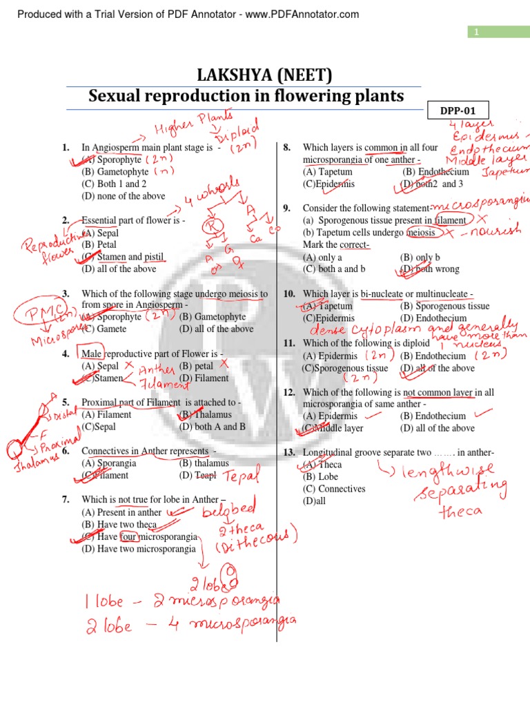 Sexual Reproduction in Flowering Plants DPP-01 Discussion Class Notes ...
