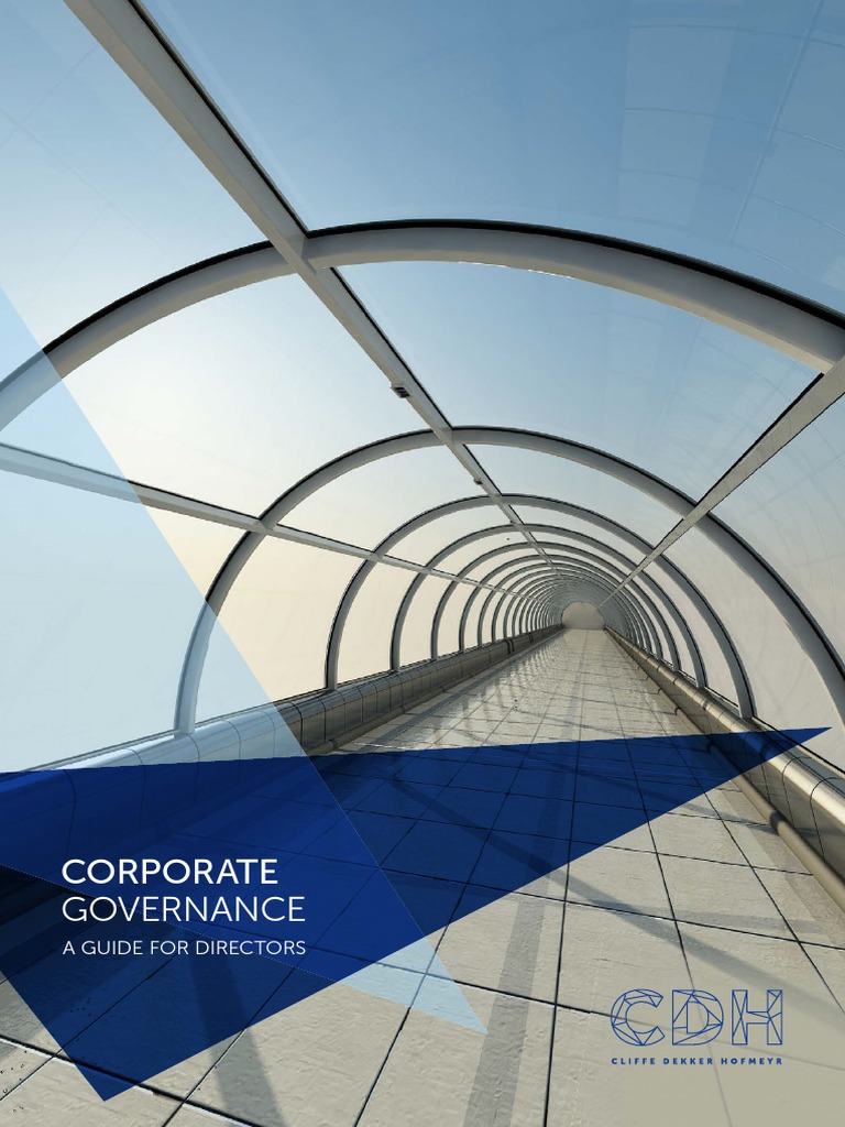 Corporate Governance A Directors Guide | PDF | Common Law | Board Of ...