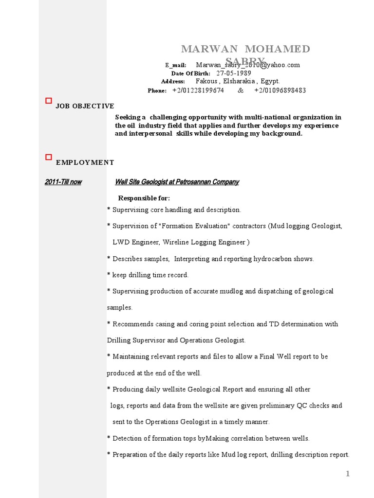 Marwan Sabry CV | PDF