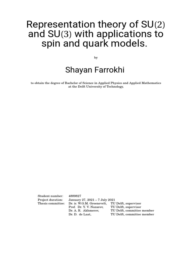 BEP Shayan Farrokhi Final Version | PDF | Representation Theory | Lie Groups