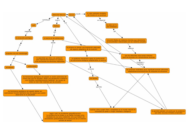 Mapa Conceptual Darwin | PDF