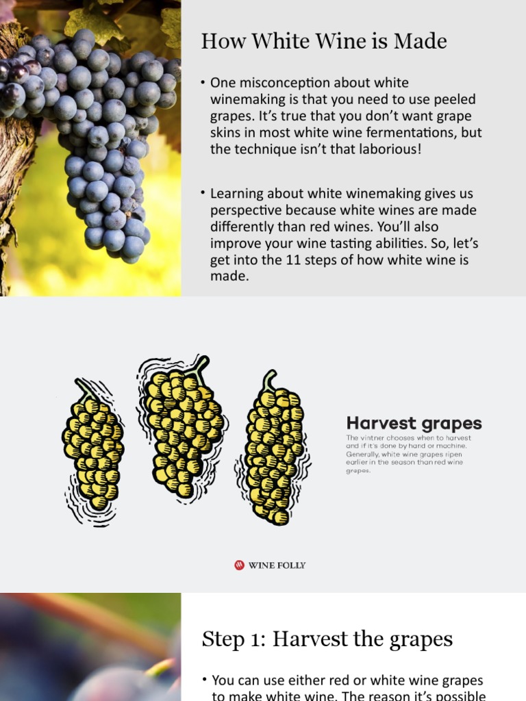 White Wine Making Explained | PDF