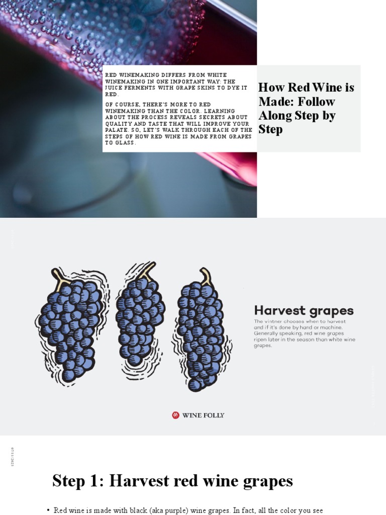 Step-by-Step Red Wine Making Guide | PDF