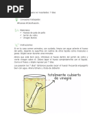 Triptico Experimento de Mathias Torre de Iquidos | PDF | Densidad | Líquidos