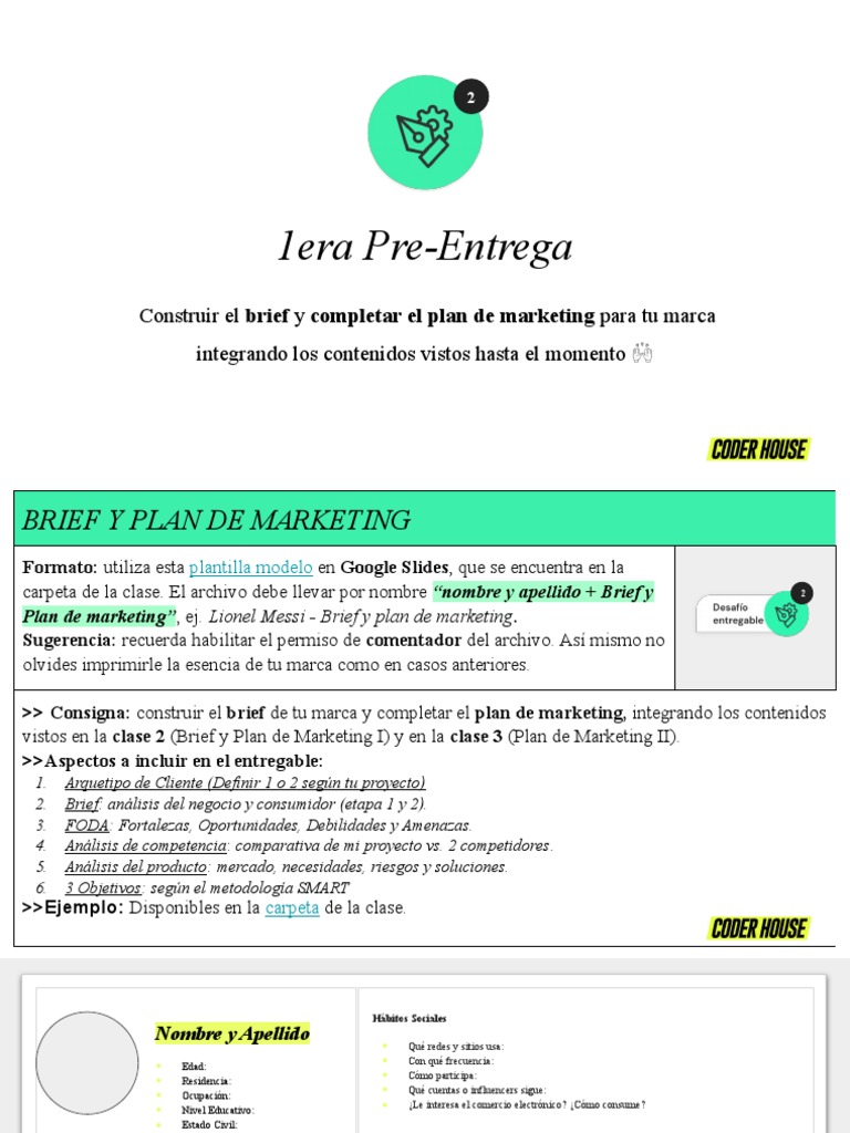 Plantilla - 1era Pre-Entrega | PDF | Marketing | Producto (Negocio)