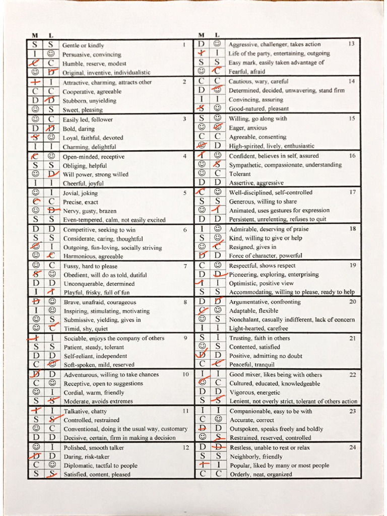 DISC Test Sheet | PDF