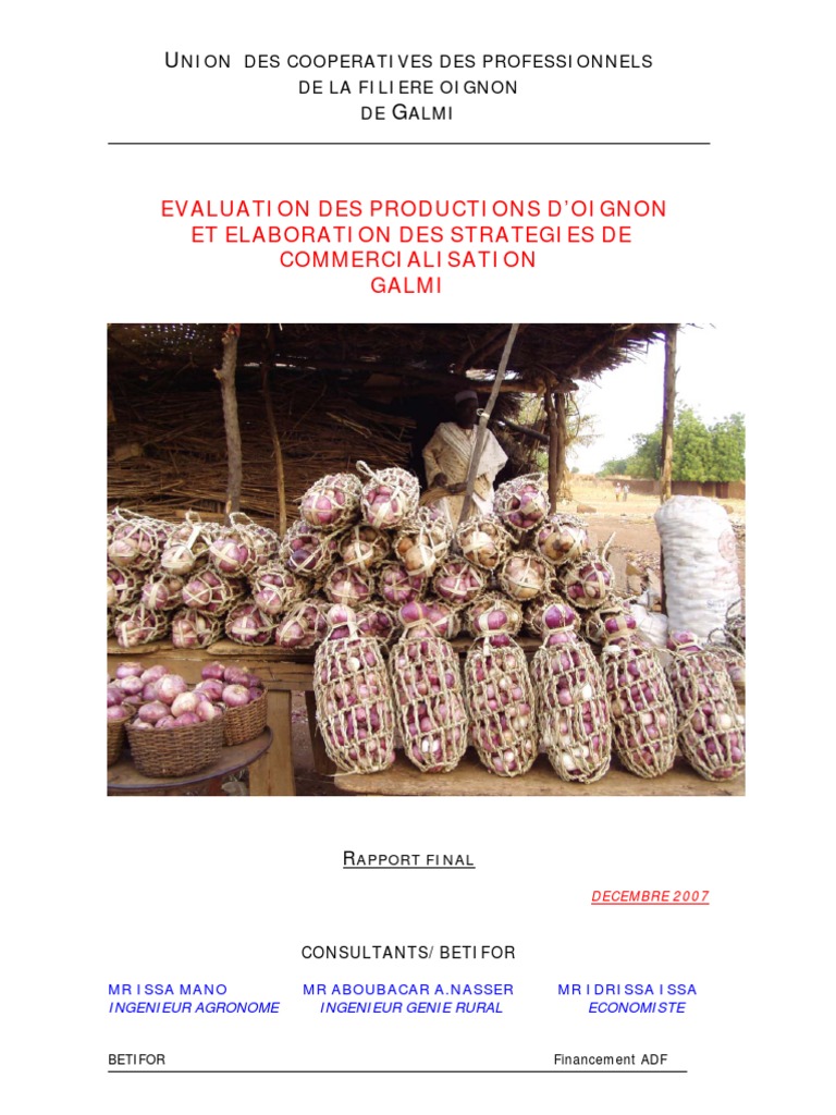Évaluation de l'Oignon de Galmi | PDF | Commercialisation | Irrigation