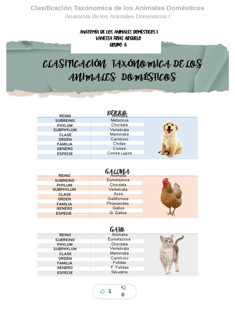 Clasificacion Taxonomica de Los Animales Domesticos - Compress | PDF ...