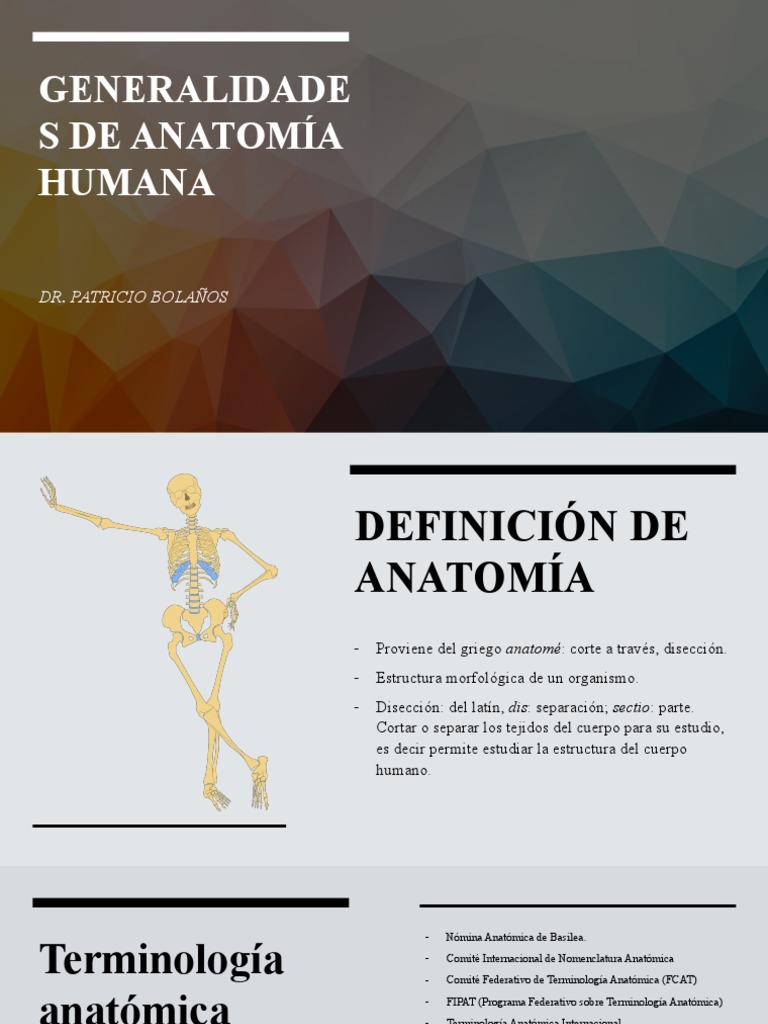 Generalidades de Anatomía Humana | PDF