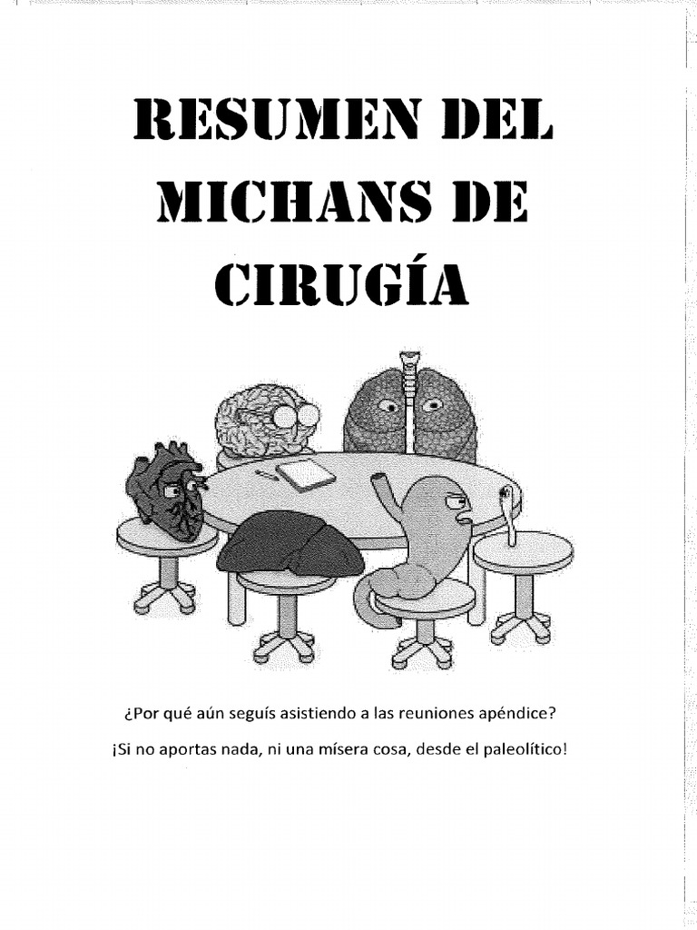 Resumen Del Michans | PDF