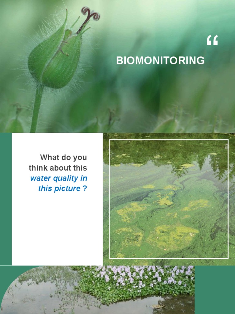 Bioindikator PPT Kasar | PDF | Microsoft Power Point | Infographics