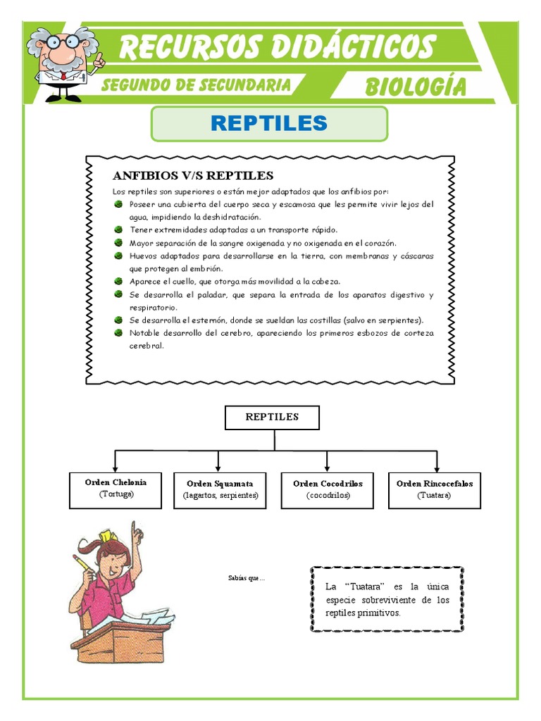 Los-Reptiles-para-Segundo-de-Secundaria (1) Willlian Angel Ipanaque ...