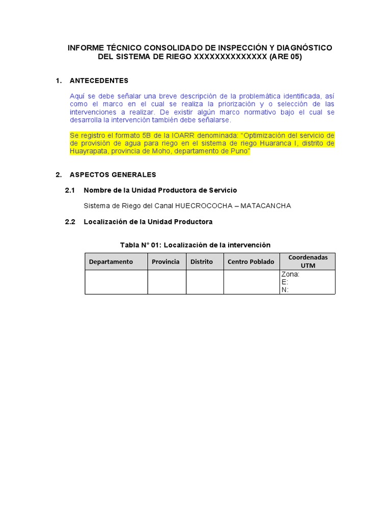 Modelo de Elaboración de Informe Técnico de Sustento | PDF | Riego | Ciencias fisicas