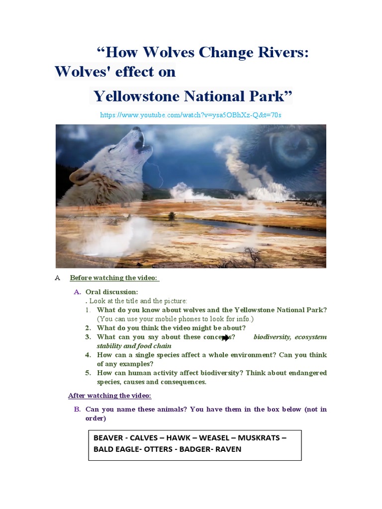 How Wolves Change Rivers | PDF | Ecology | Earth Sciences