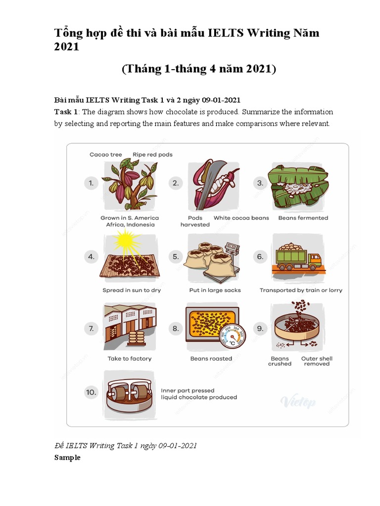 Writing Ielts | PDF | Chocolate | Cocoa Bean