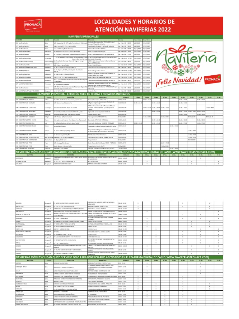 PLANIFICACION Pronaca | PDF
