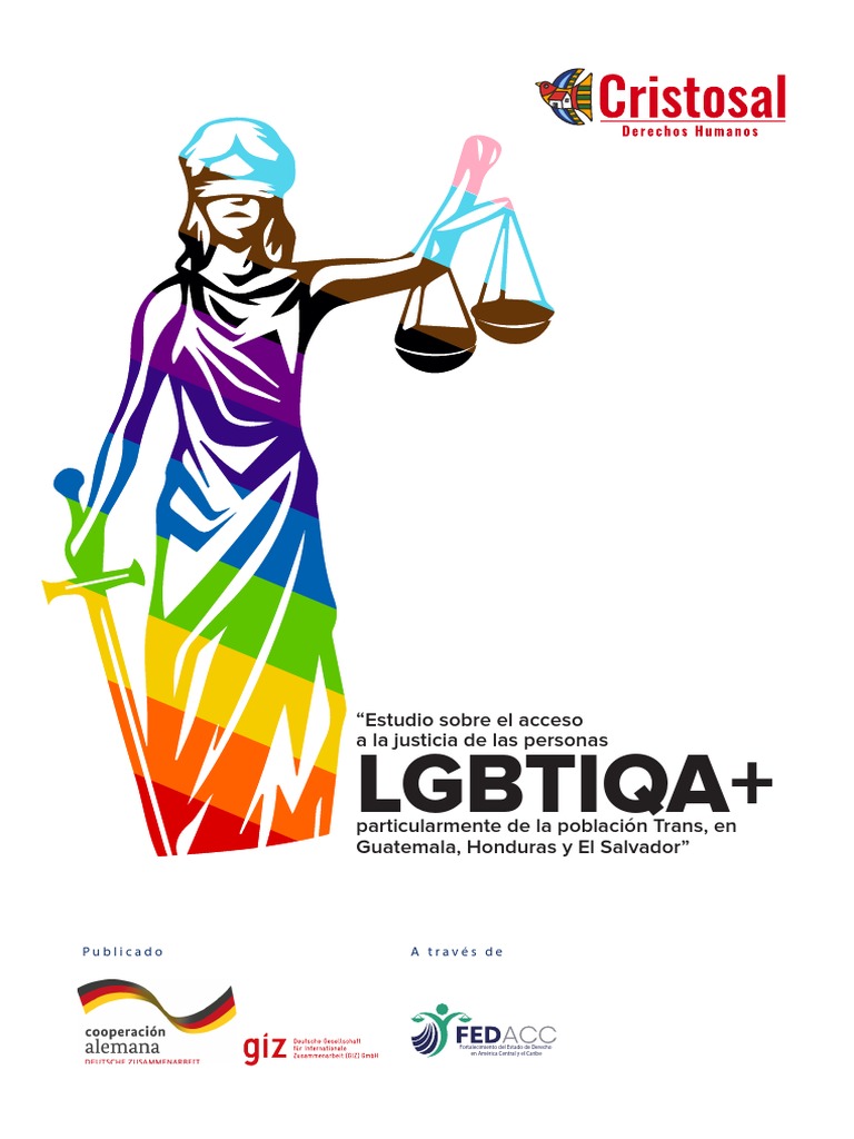 ESTUDIO Justicia LGBTIQA | PDF | Homosexualidad | Identidad de género