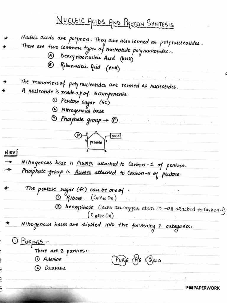 Nucleic Acids and Protein Synthesis Note | PDF