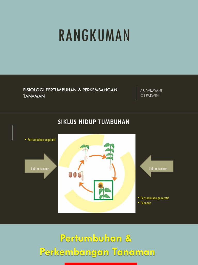 RANGKUMAN | PDF
