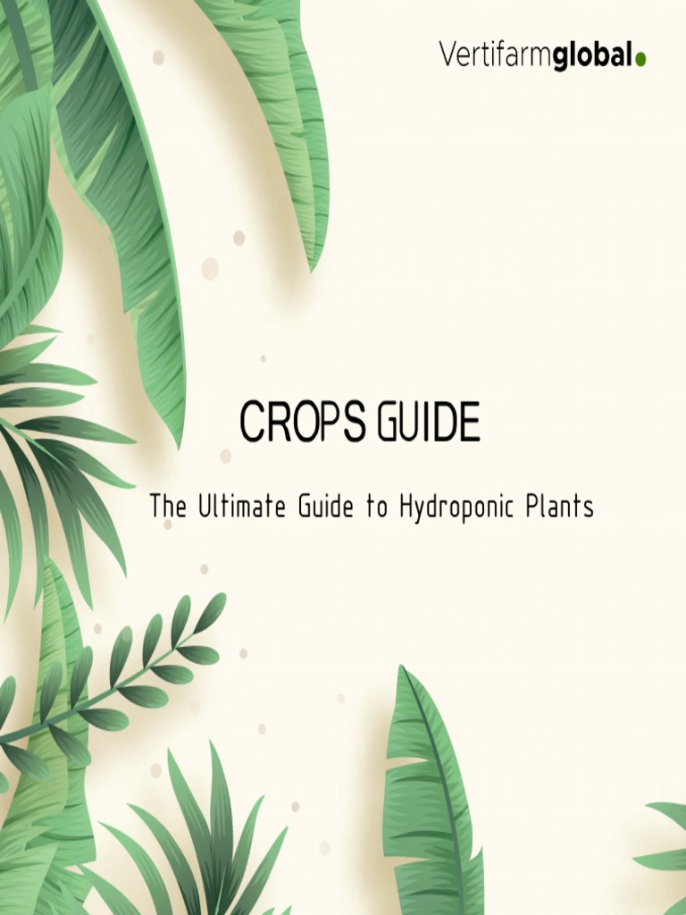 Plant Guide | PDF | Botany | Plants