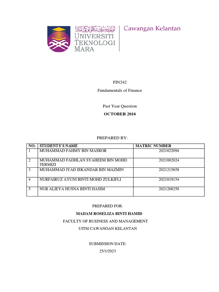 Fundamentals of Finance 242 Report | PDF