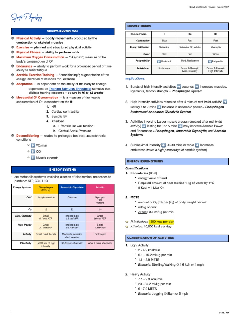 4) Sports Physiology | Download Free PDF | Skeletal Muscle ...