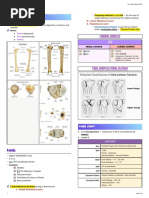 The Muscles of the Hand - Thenar - Hypothenar - TeachMeAnatomy | PDF ...