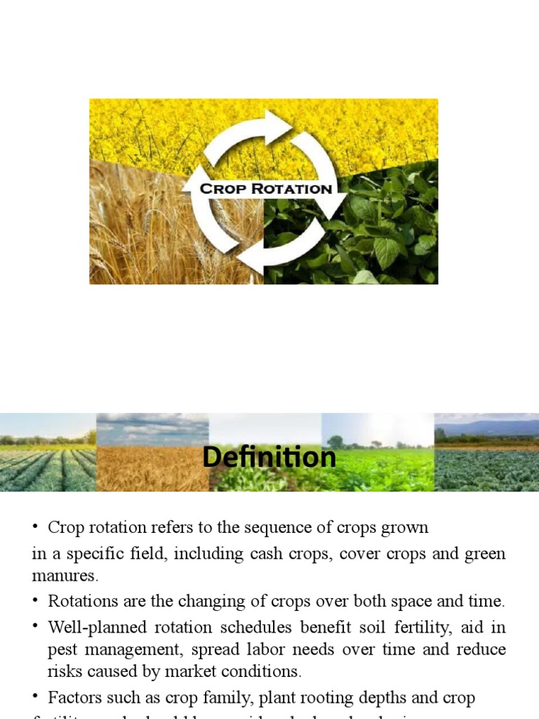 Crop Rotation | PDF | Crop Rotation | Soil
