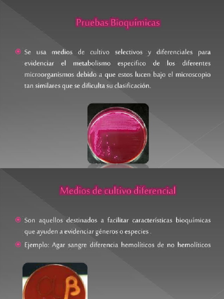 Medios de Cultivo | PDF