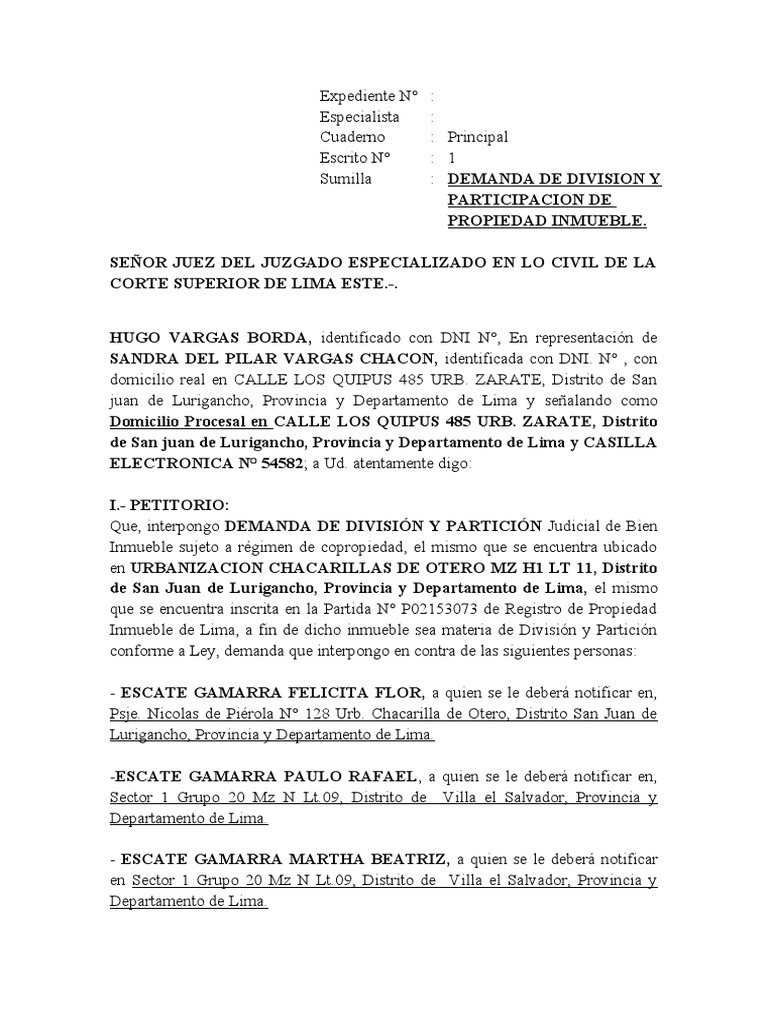 Demanda Particion y Division | PDF | Ley Pública | Justicia