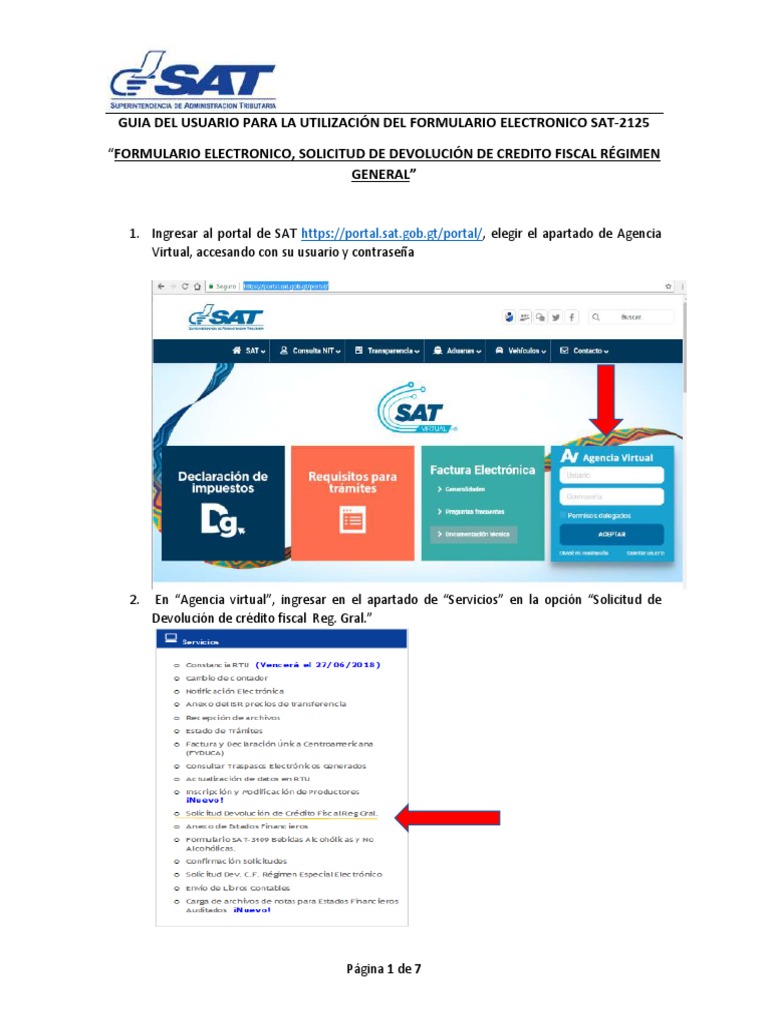 Guia Del Usuario para La Utilizacion Del Formulario Electronico Sat2125 ...
