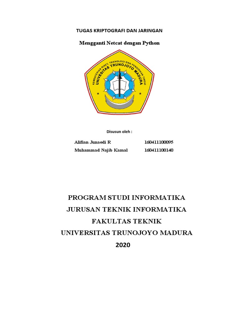 Replacing Netcat Using Python | PDF