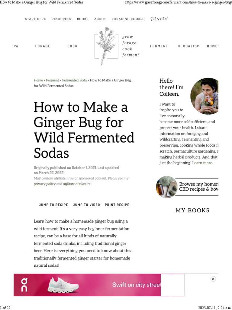 Ginger Bug for Wild Fermented Sodas | PDF | Ginger | Soft Drink