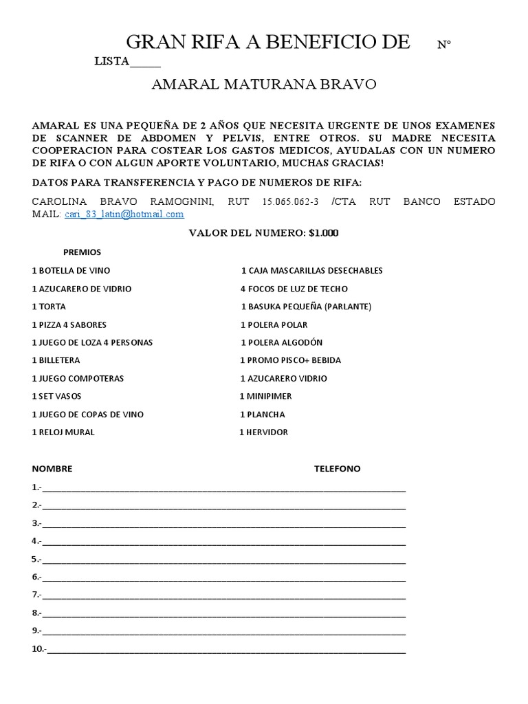 Gran Rifa A Beneficio de N | PDF