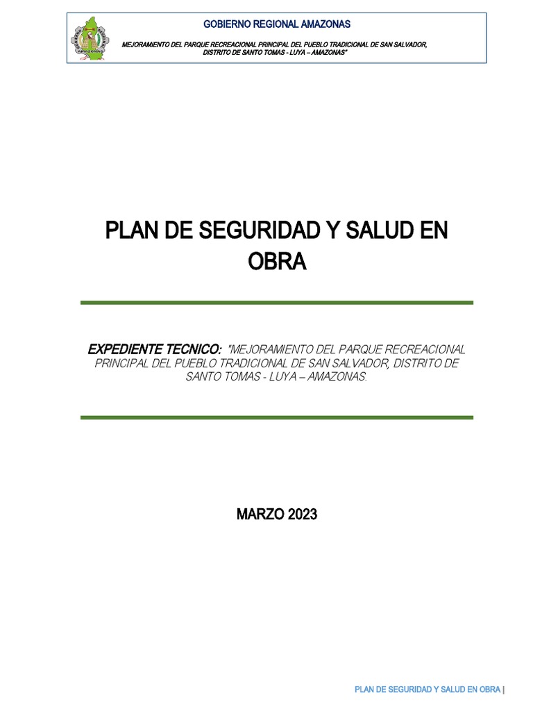 Plan de Seguridad y Salud | PDF | Seguridad y salud ocupacional | Valores